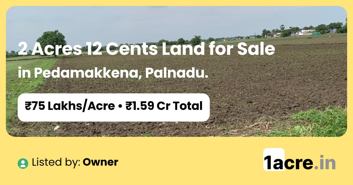 2 Acres 5 Guntas Land for Sale in Pedamakkena, Palnadu | 1acre.in